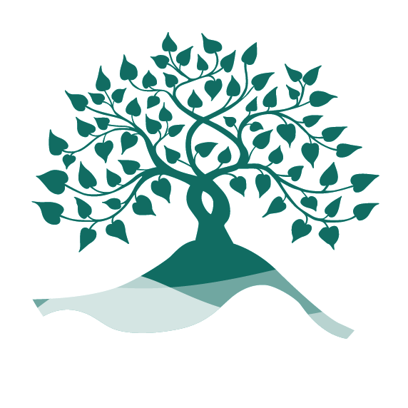 Tree Of Life Vector Png (572x572), Png Download