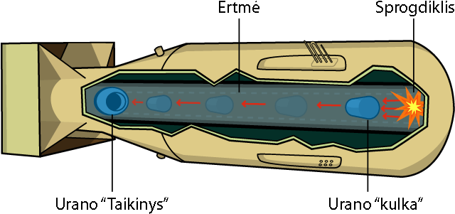 Gun-type Nuclear Weapon - Atomic Bomb Cross Section (730x330), Png Download