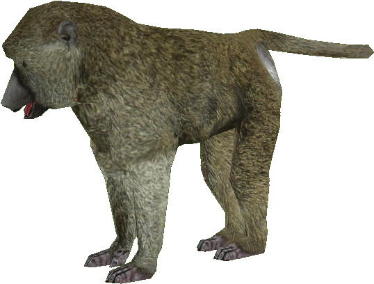 Baboon Png Clipart - Baboon Png (537x537), Png Download