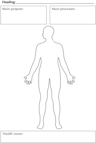 Following Is The Page To Photocopy For Learners To - Human Body System ...