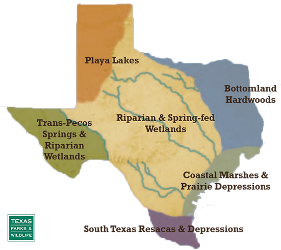 February 2 Is World Wetlands Day Riparian Wetlands Texas Map 550x530