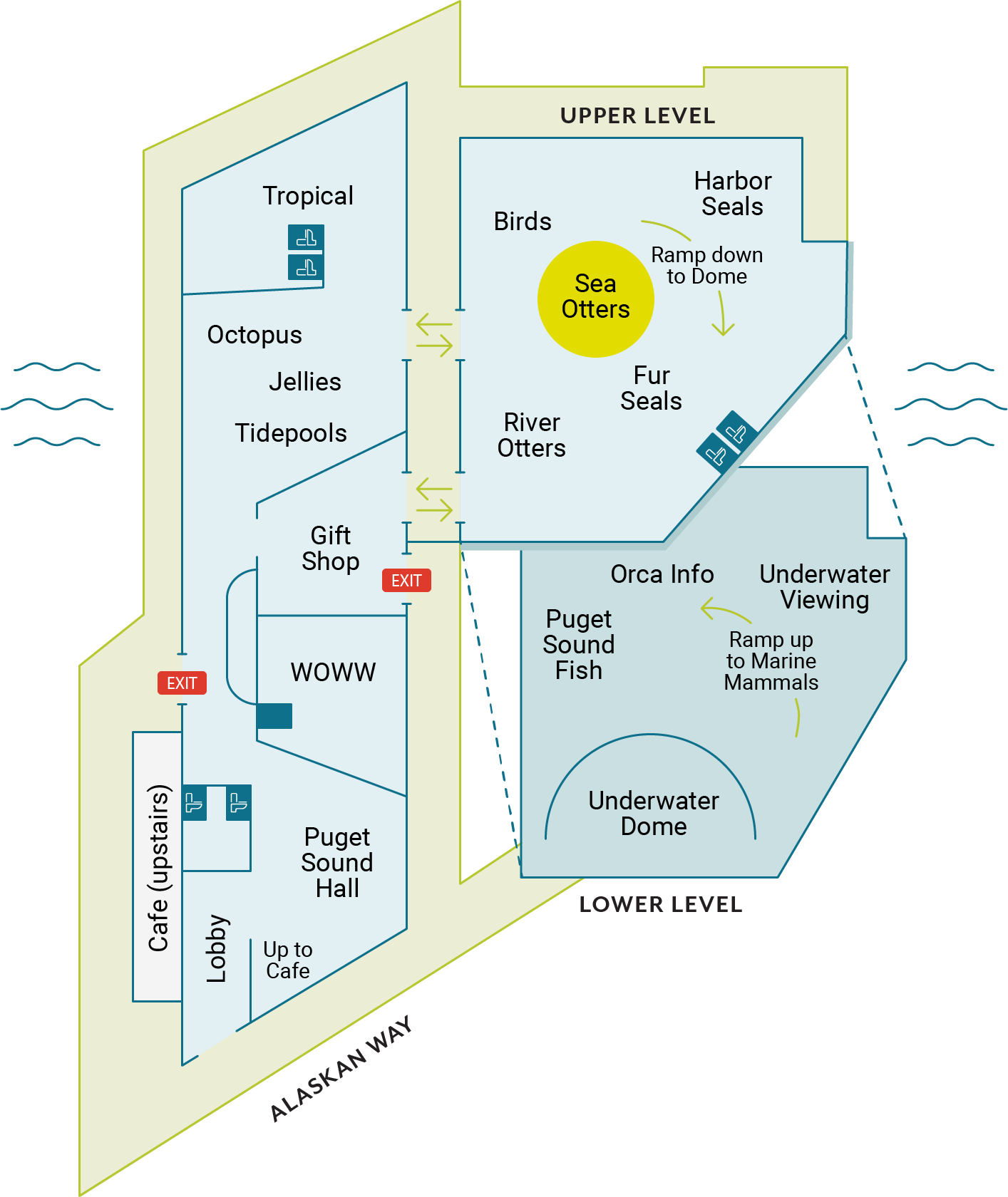 Marine Mammals - Seattle Aquarium Exhibit Map (1414x1680), Png Download