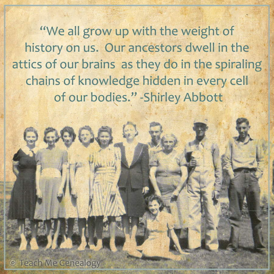 Genealogy Clipart Genealogy Ancestor Family Tree - Rules Of Our ...