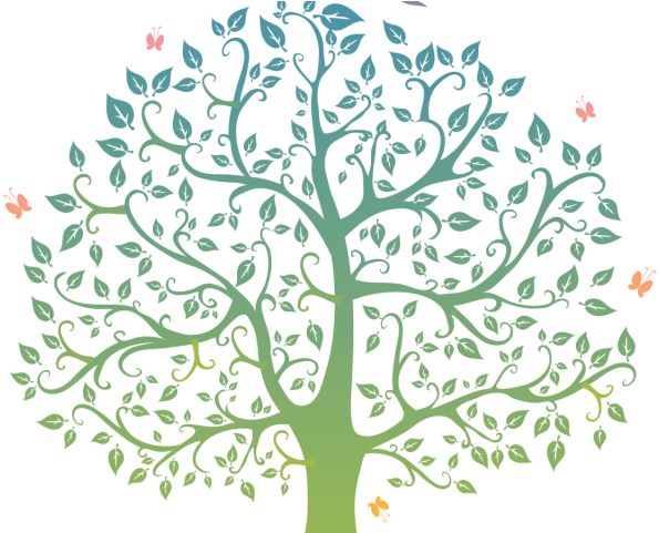 Download Branch Clipart Family Tree - Family Tree Clipart Png ...