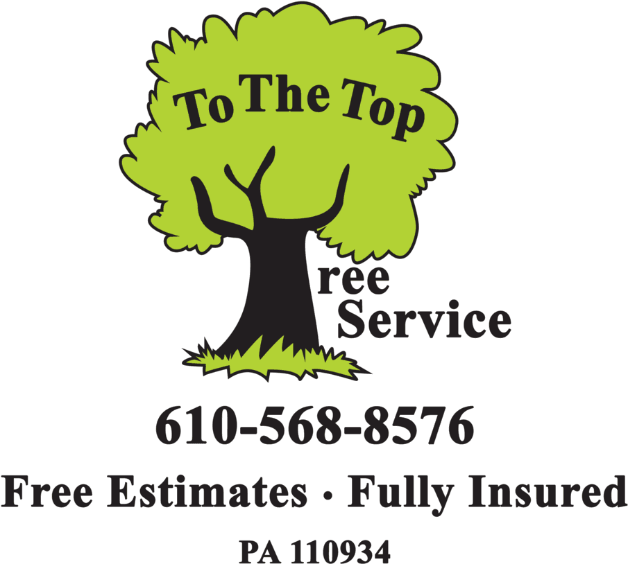 Top Tree Service (1000x894), Png Download