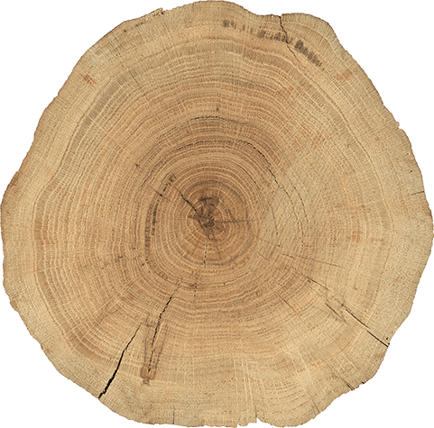 Download Log - Logarithm | Transparent PNG Download | SeekPNG