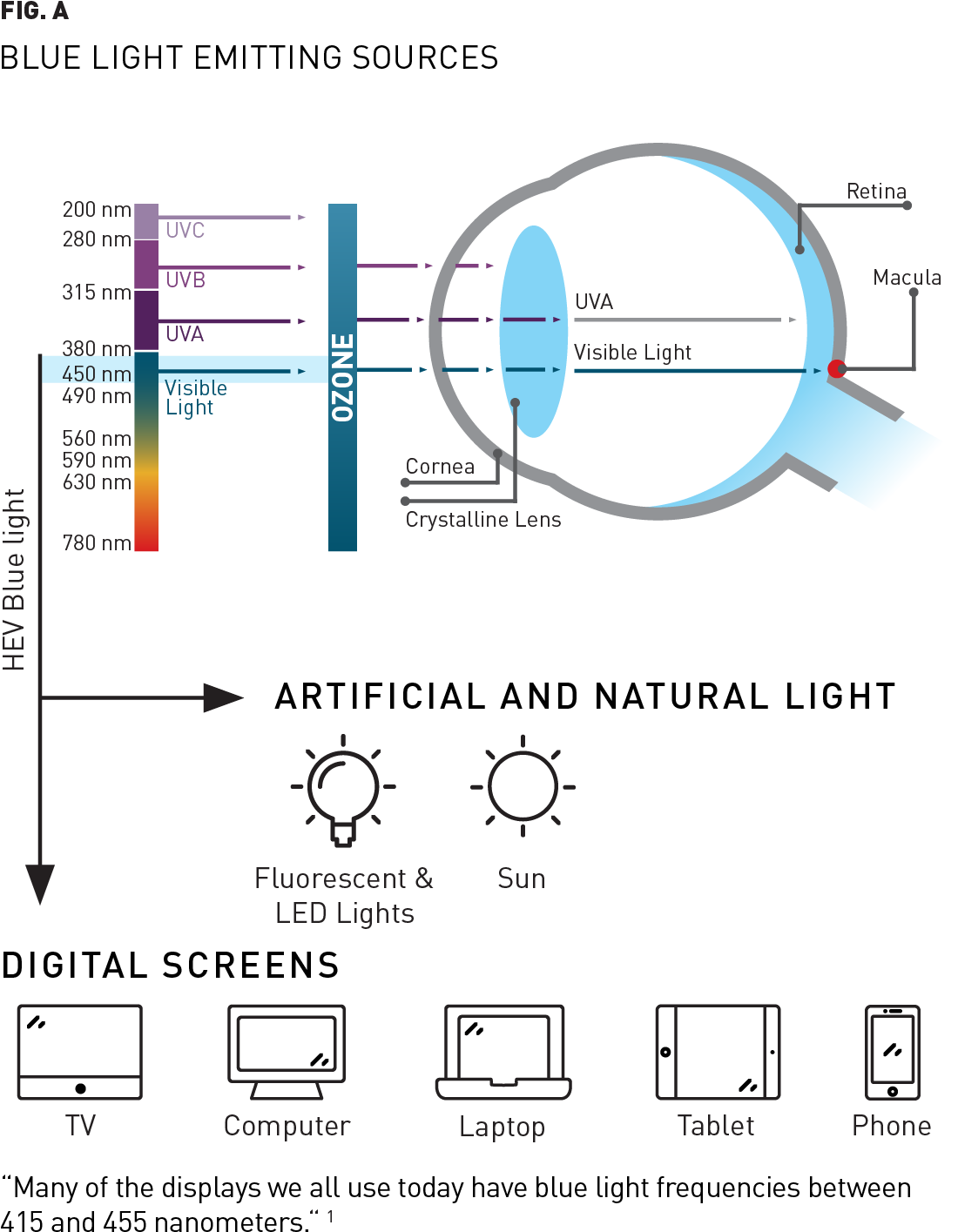 Bz Assets Image - Effects Of Blue Light Technology (1176x1457), Png ...