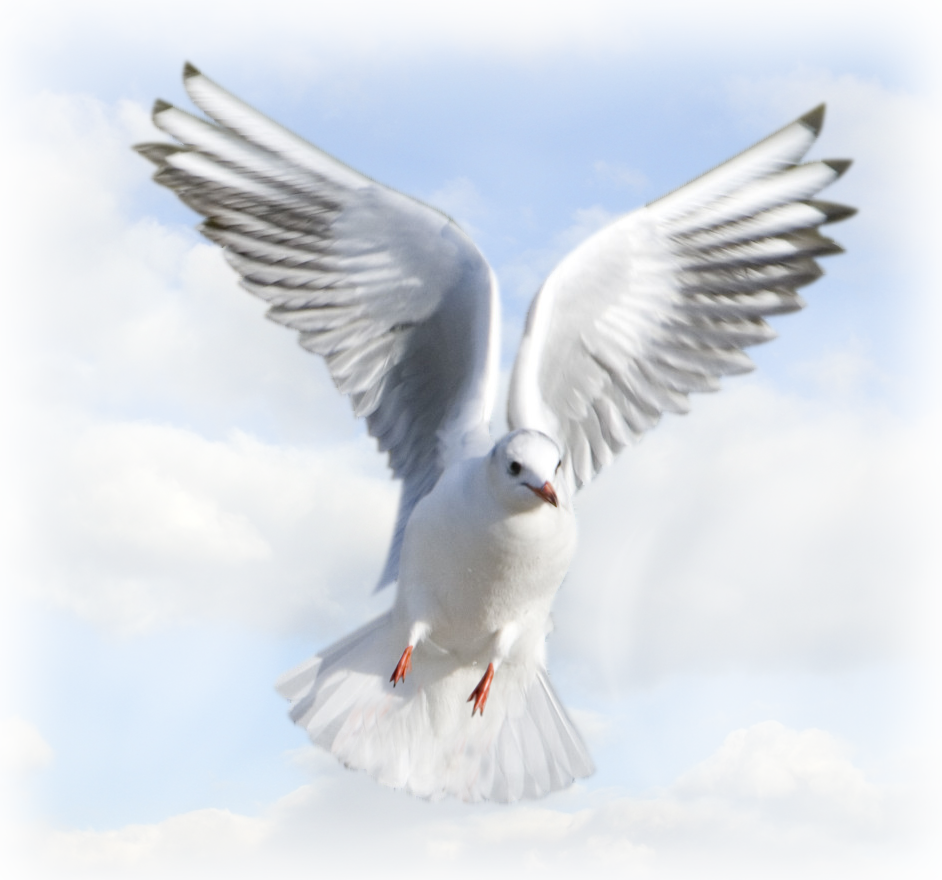 Dove Images Holy Spirit Png (942x880), Png Download