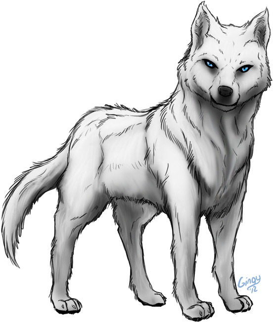 Download Collection Of Free Wolf Transparent Black And White - White ...