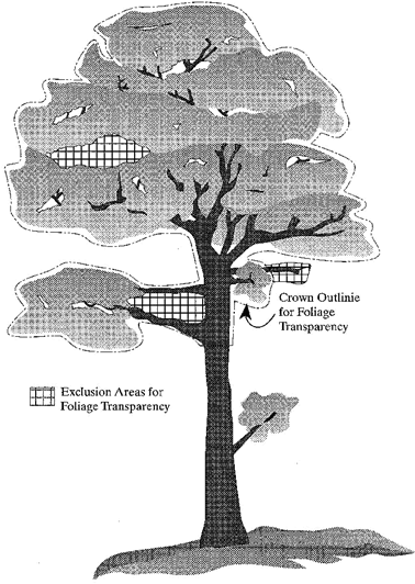 Guide To Estimating Transparency - Estimation (384x544), Png Download