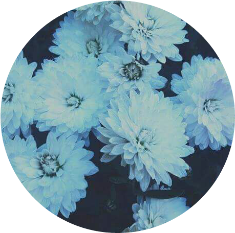Download Flowers Blue Tumblr - Pastel Blue Blue Stickers | Transparent ...