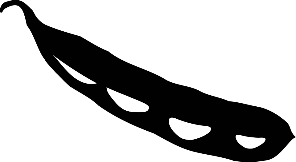 Download Soybean Png Black And White - Soybean Pod Transparent ...