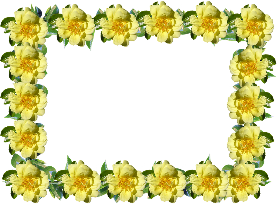 Download Yellow Flowers Border Png - Stock.xchng | Transparent PNG ...