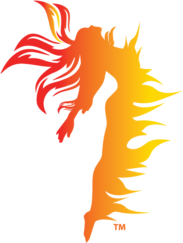 Download Woman On Fire - Woman On Fire Logo | Transparent PNG Download ...