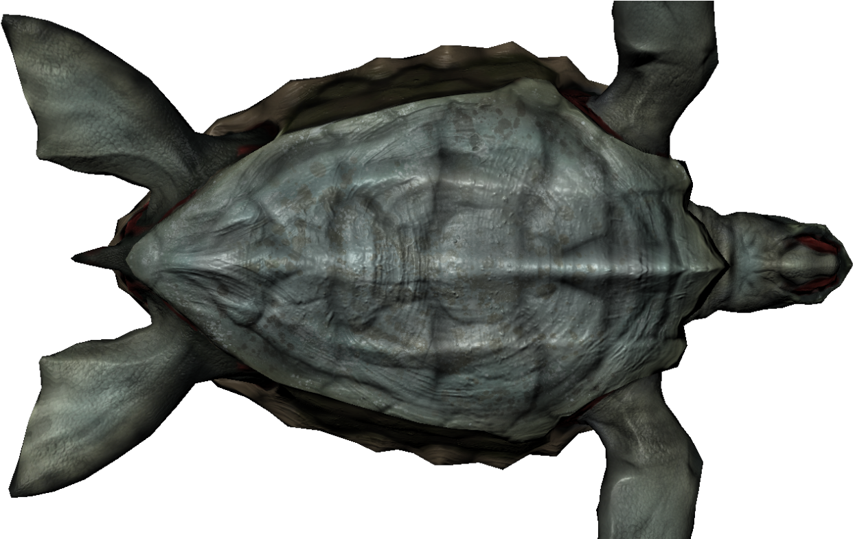 Download Turtle From Beneath - Common Snapping Turtle | Transparent PNG ...