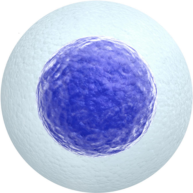 Download Oasis Diagnostics® Corporation - Human Cell Transparent ...