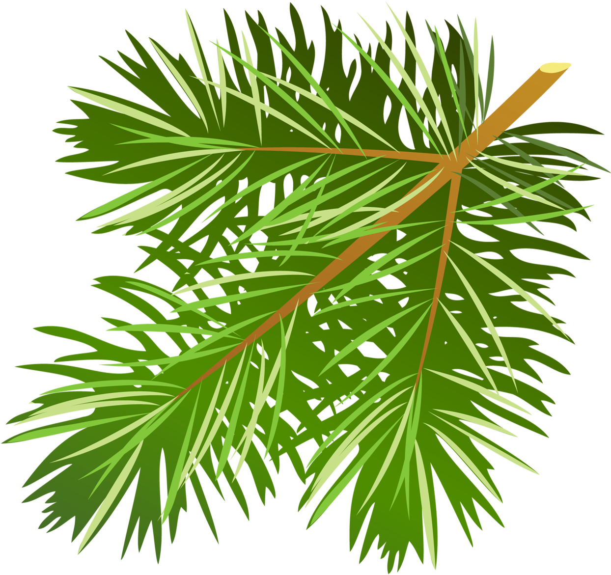 Transparent Pine Branch Png Clipart - Pine Tree Branch Clip Art ...