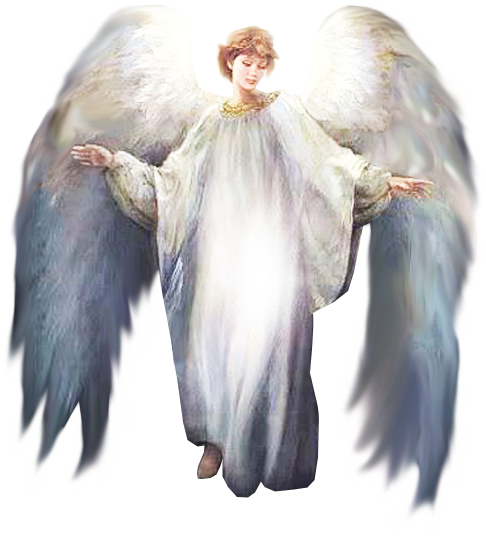 Banner Download Christmas Angels Png For Free Download - Angel ...