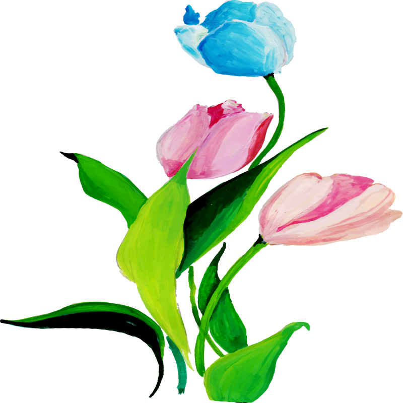 Portable Network Graphics (800x800), Png Download