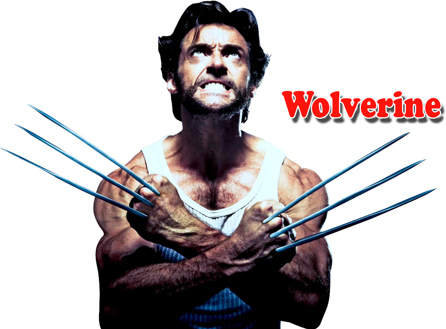 Free Png Wolverine Png Images Transparent - X Men Origins Wolverine ...