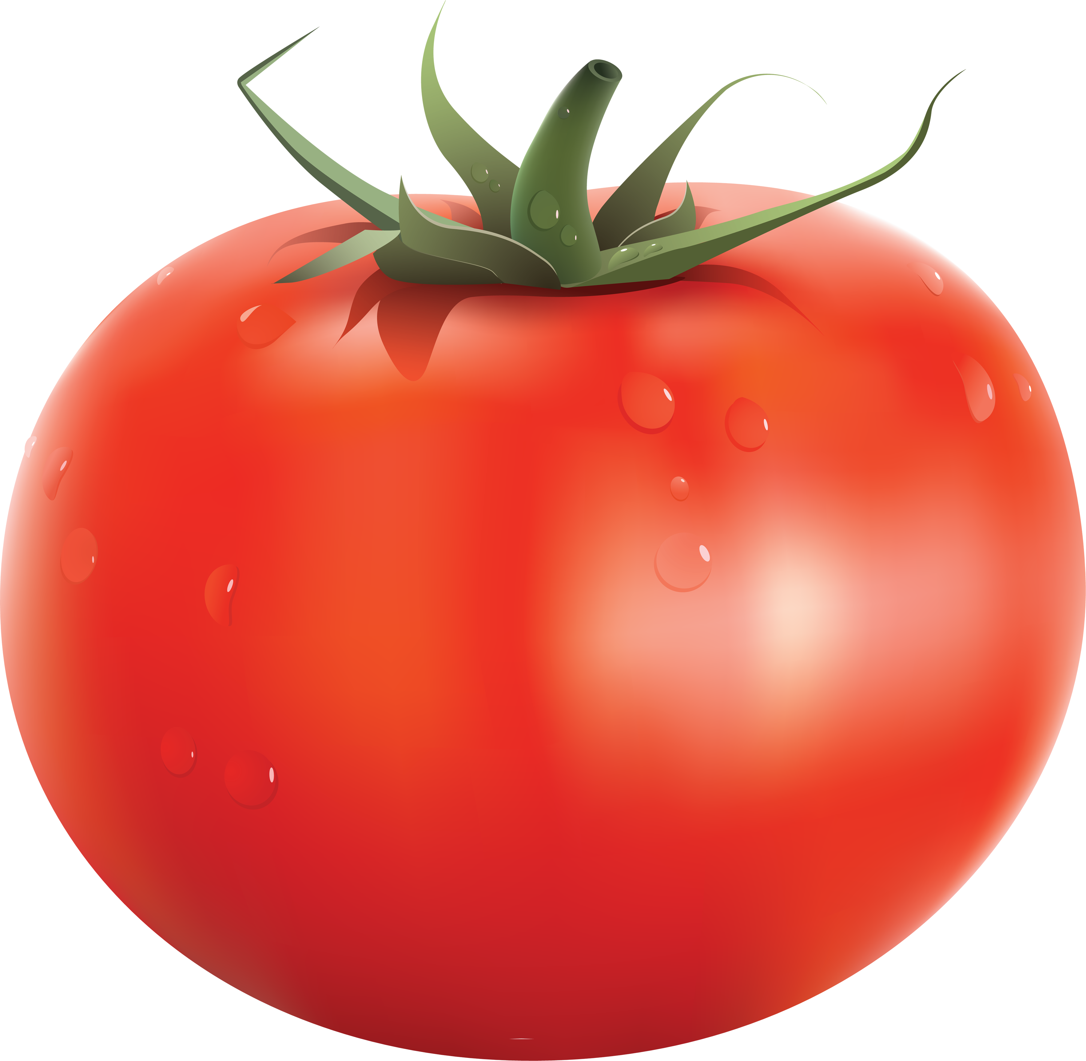 Tomato Png - Vegetable Clip Art Tomato (3531x3451), Png Download