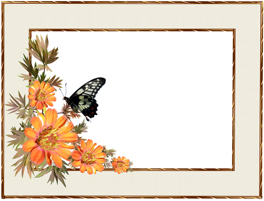 Frame, Border, Flowers, Butterfly, Decorative - Good Morning Happy ...