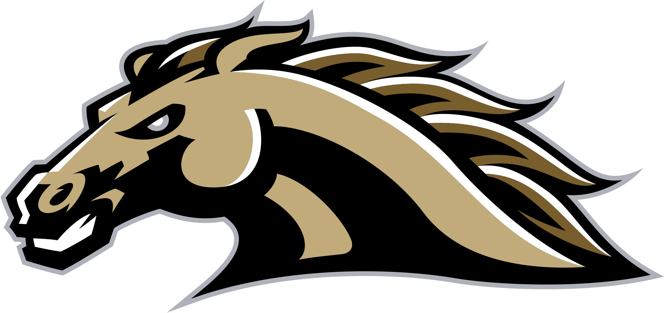 Wmu Broncos Logo Png Transparent - Western Michigan Broncos Logo ...