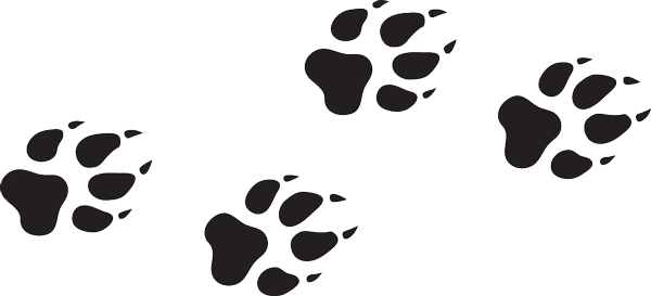 Download Wolf Paw Print Png | Transparent PNG Download | SeekPNG