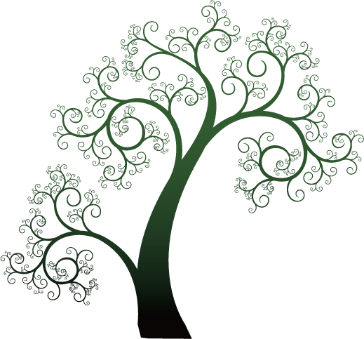 Swirl-tree - Drawing For File Cover (519x483), Png Download