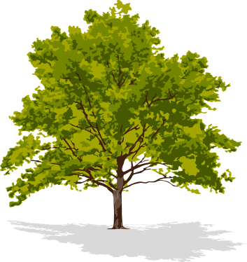 Welcome - Sycamore Tree (353x374), Png Download