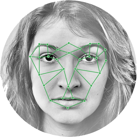 Download Face - Facial Recognition Png | Transparent PNG Download | SeekPNG
