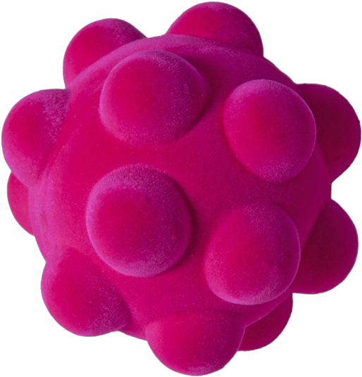 Ball (567x577), Png Download