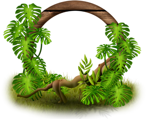 Download Free Download Tropical Frame Png Clipart Picture Frames ...