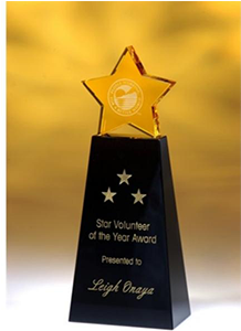 Sports Trophies - Star Screen Award Trophy Png (400x300), Png Download