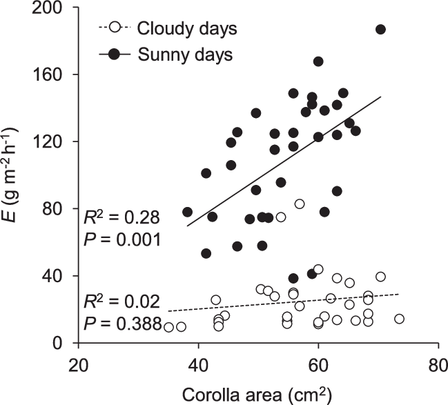 Download Interaction Between Type Of Day And Corolla Area In - Diagram ...
