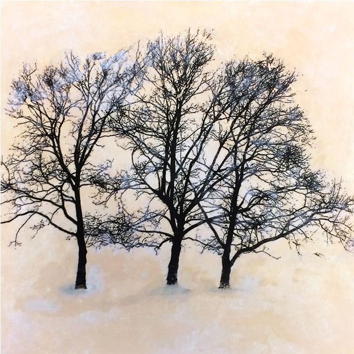 Three Trees - Tree (700x1000), Png Download