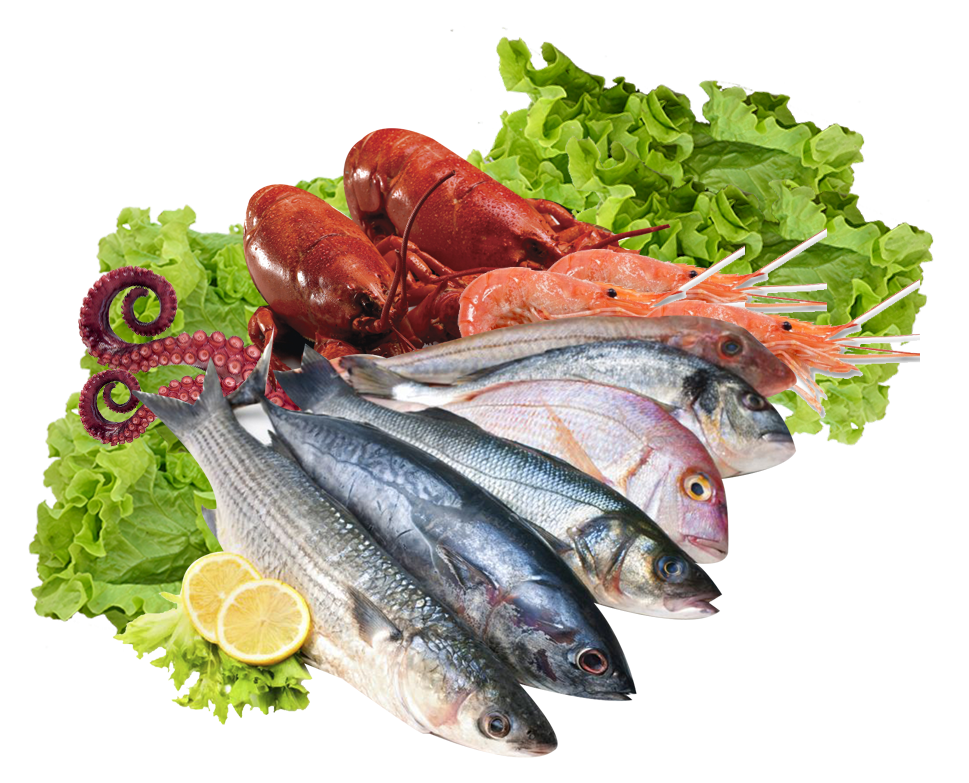 Download Pescados Y Mariscos Png - Venta De Mariscos Frescos ...