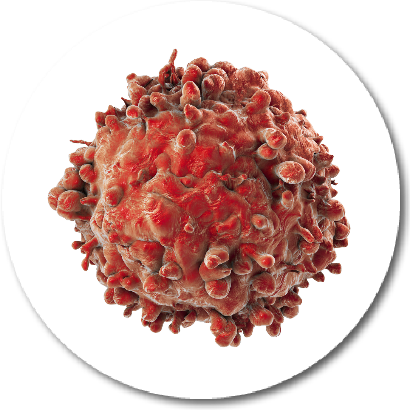 Download Single Cancer Cell - Childhood Leukemia | Transparent PNG ...