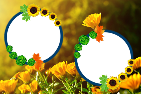 Dual Flower Photo Frames - Dual Frame Png (452x300), Png Download