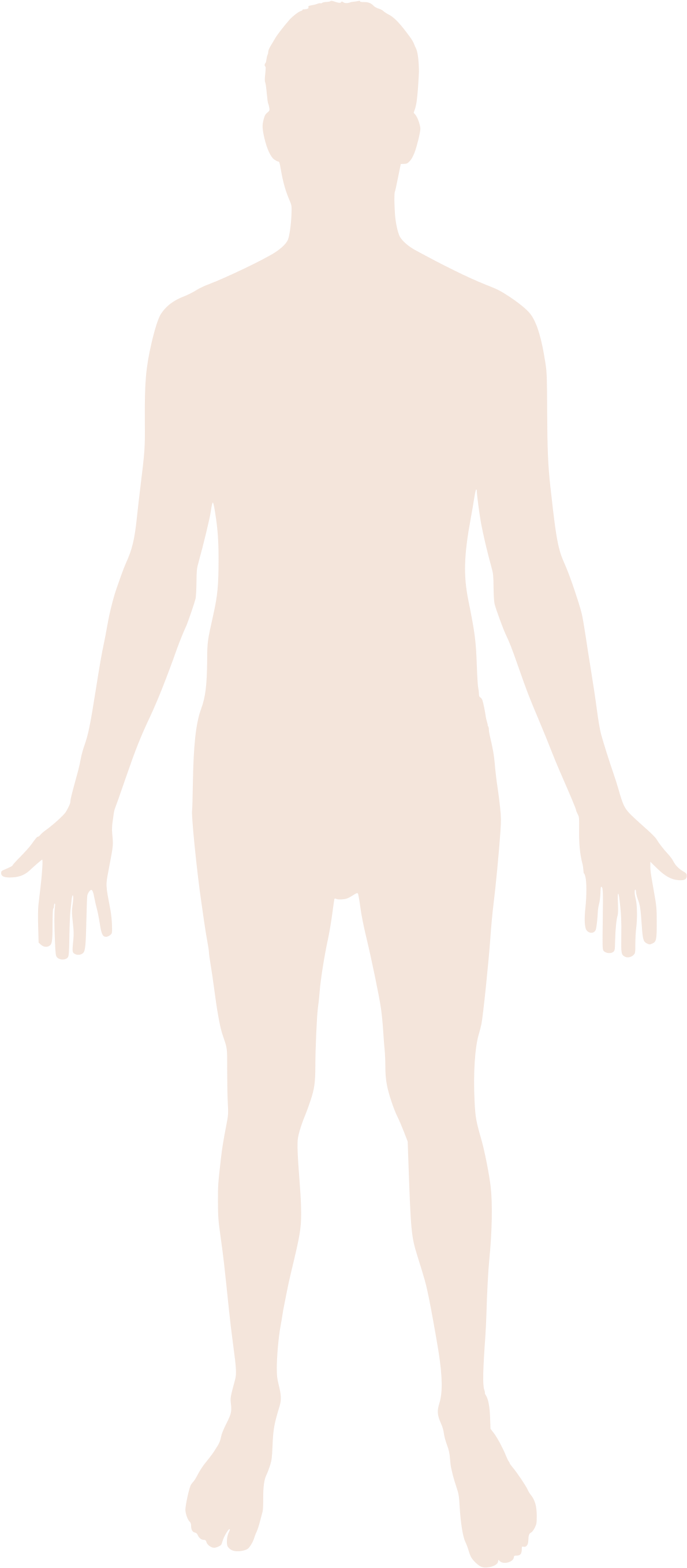 Human Body Silhouette - Transparent Background Body Png (1000x2268 ...