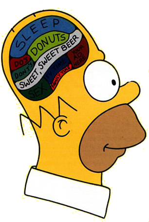 Download Homer - Open Mind Map | Transparent PNG Download | SeekPNG