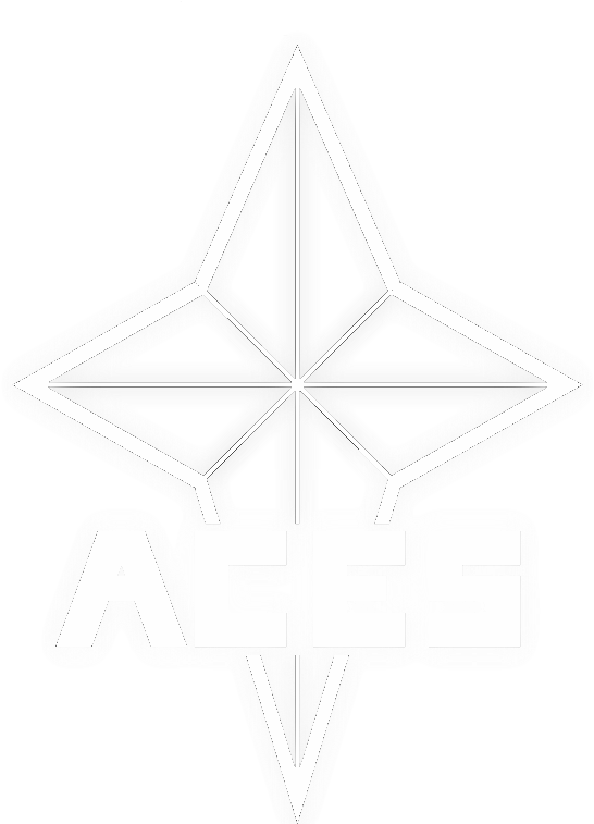 Aces Logo Sans Name White Full Glow - School (659x783), Png Download