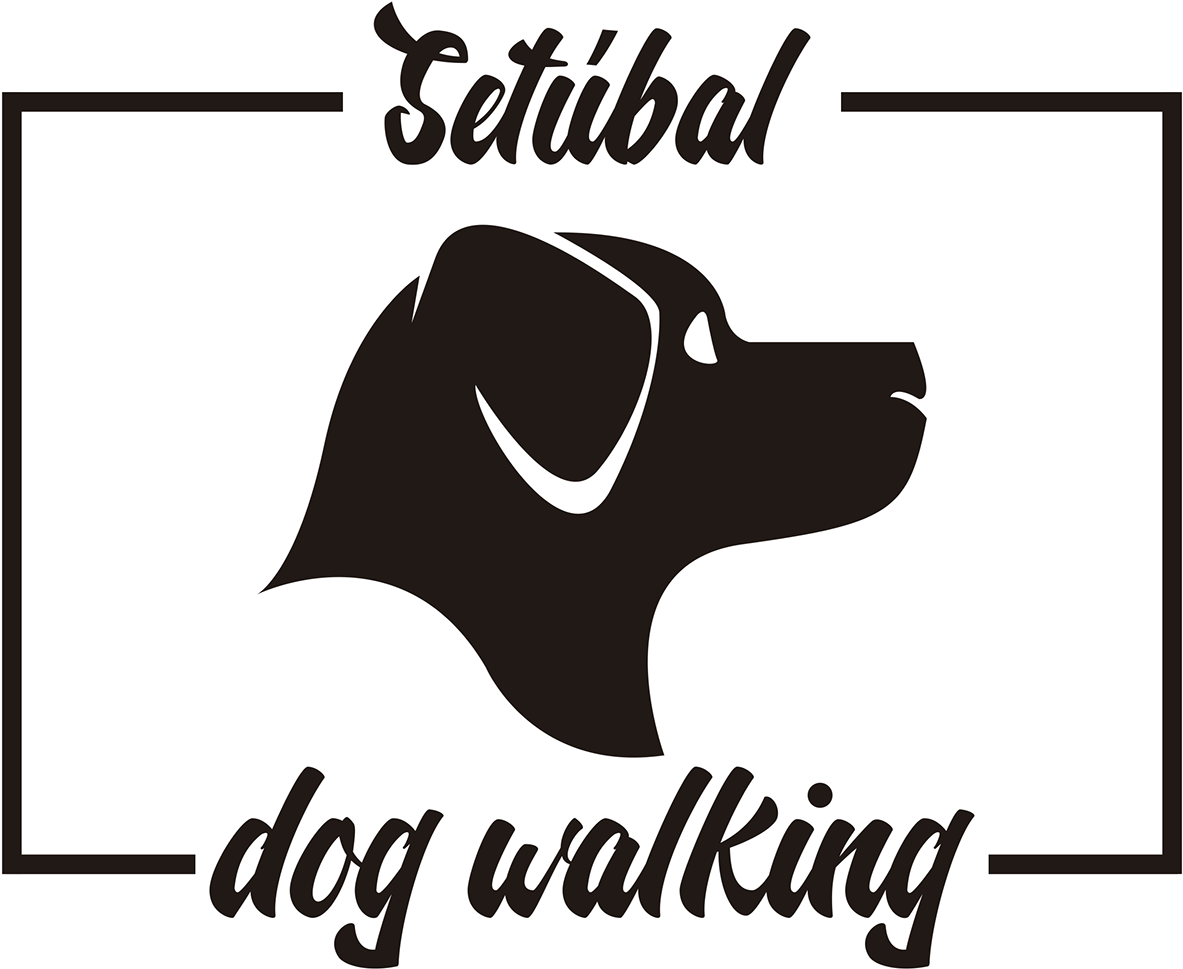 Logo - Companion Dog (1200x1144), Png Download