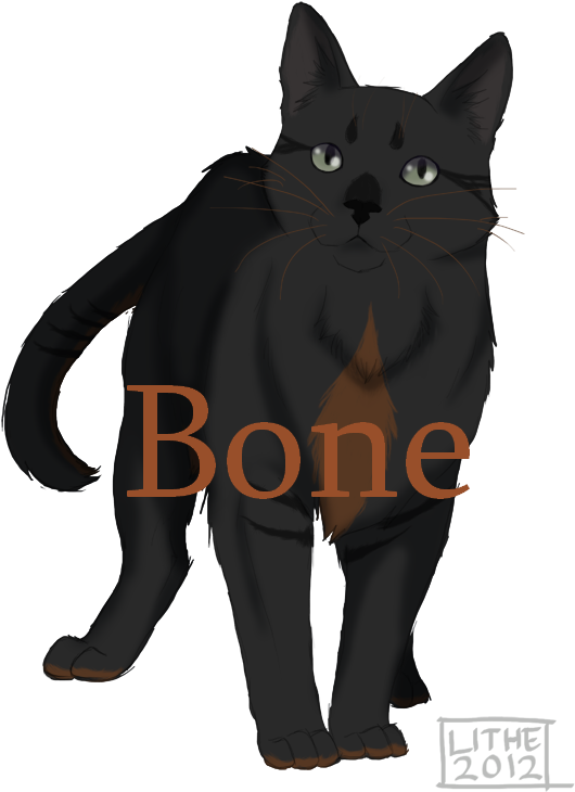 Download Bone - Deviantart | Transparent PNG Download | SeekPNG