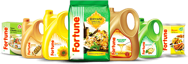 Fortune Re Positioned Itself As A Brand That Thrives - Fortune Biryani ...