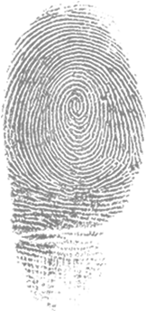 Huella Dactilar - Fingerprint (400x350), Png Download
