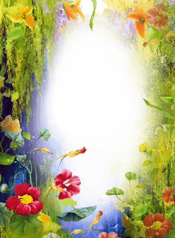 Summer Frames - Transparent Nature Photo Frame (360x490), Png Download