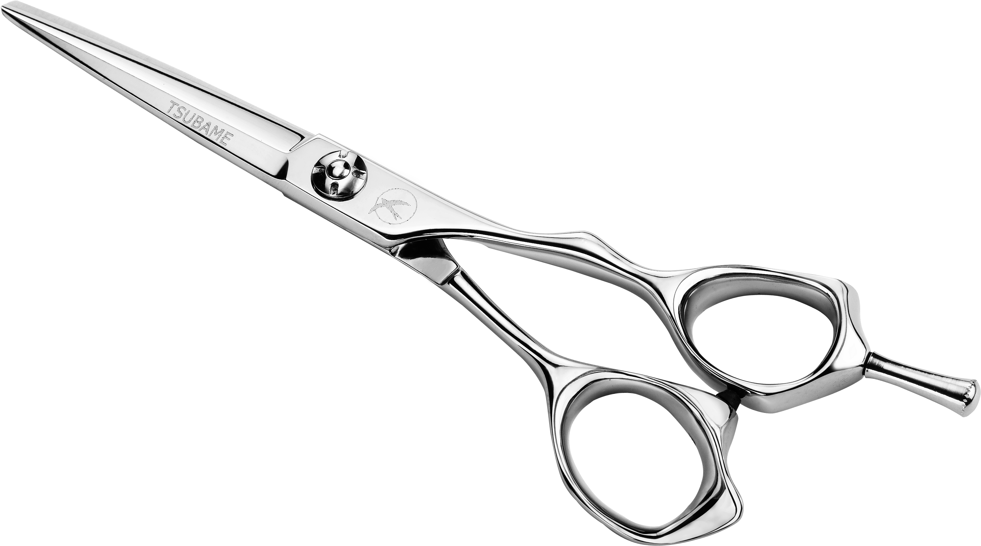 Download Hair Cutting Scissors Png | Transparent PNG Download | SeekPNG