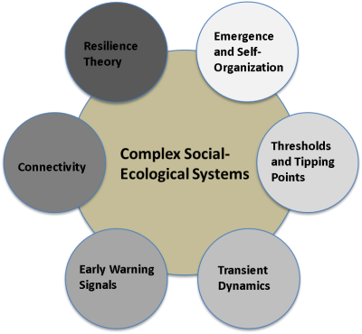 Complexity Theory - Complexity Theory Of Organization (400x370), Png ...