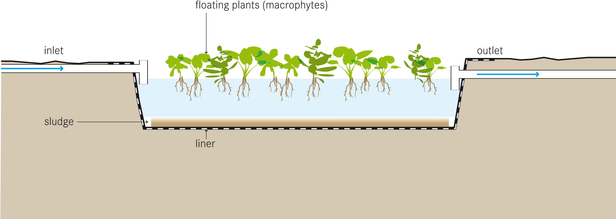 Download Open - Floating Aquatic Plant System | Transparent PNG ...